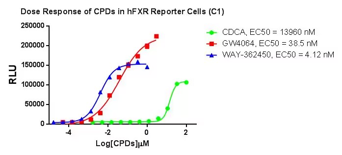 hFXR Reporter Cell_药靶模型_南京科佰生物科技有限公司