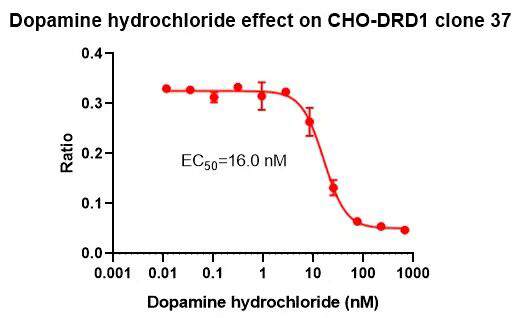 DRD1/CHO_药靶模型_南京科佰生物科技有限公司