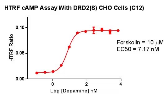 DRD2(S)/CHO_药靶模型_南京科佰生物科技有限公司