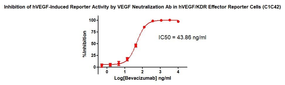VEGF(KDR) Effector Reporter Cell_药靶模型_南京科佰生物科技有限公司
