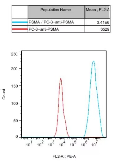 PSMA/PC-3_药靶模型_南京科佰生物科技有限公司