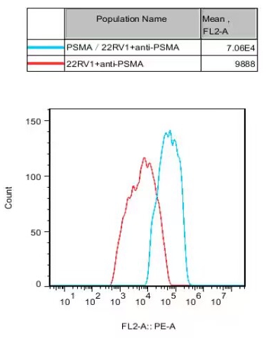 PSMA/22RV1_药靶模型_南京科佰生物科技有限公司