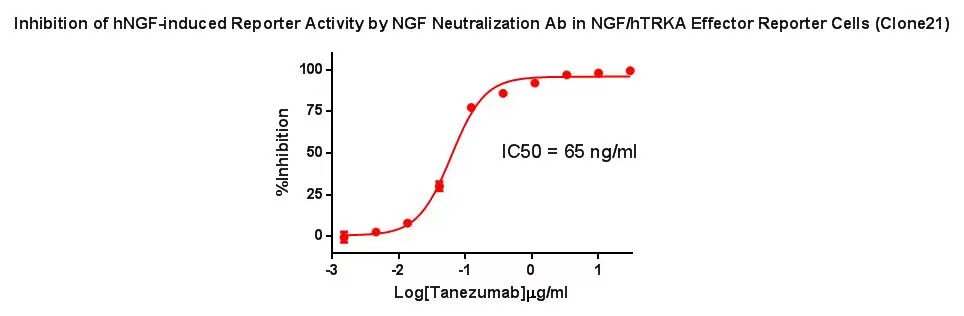 NGF/hTRKA Effector Reporter Cell_药靶模型_南京科佰生物科技有限公司