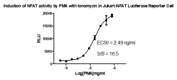 NFAT-Luc/Jurkat_药靶模型_南京科佰生物科技有限公司