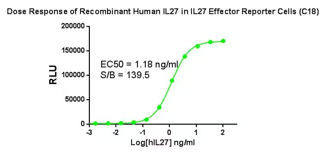 IL27 Effector Reporter Cell_药靶模型_南京科佰生物科技有限公司