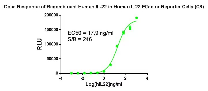 IL22 Effector Reporter Cell_药靶模型_南京科佰生物科技有限公司