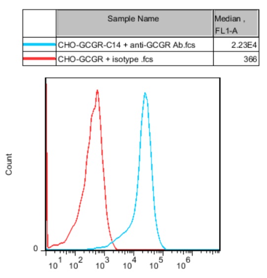 GCGR/CHO_药靶模型_南京科佰生物科技有限公司